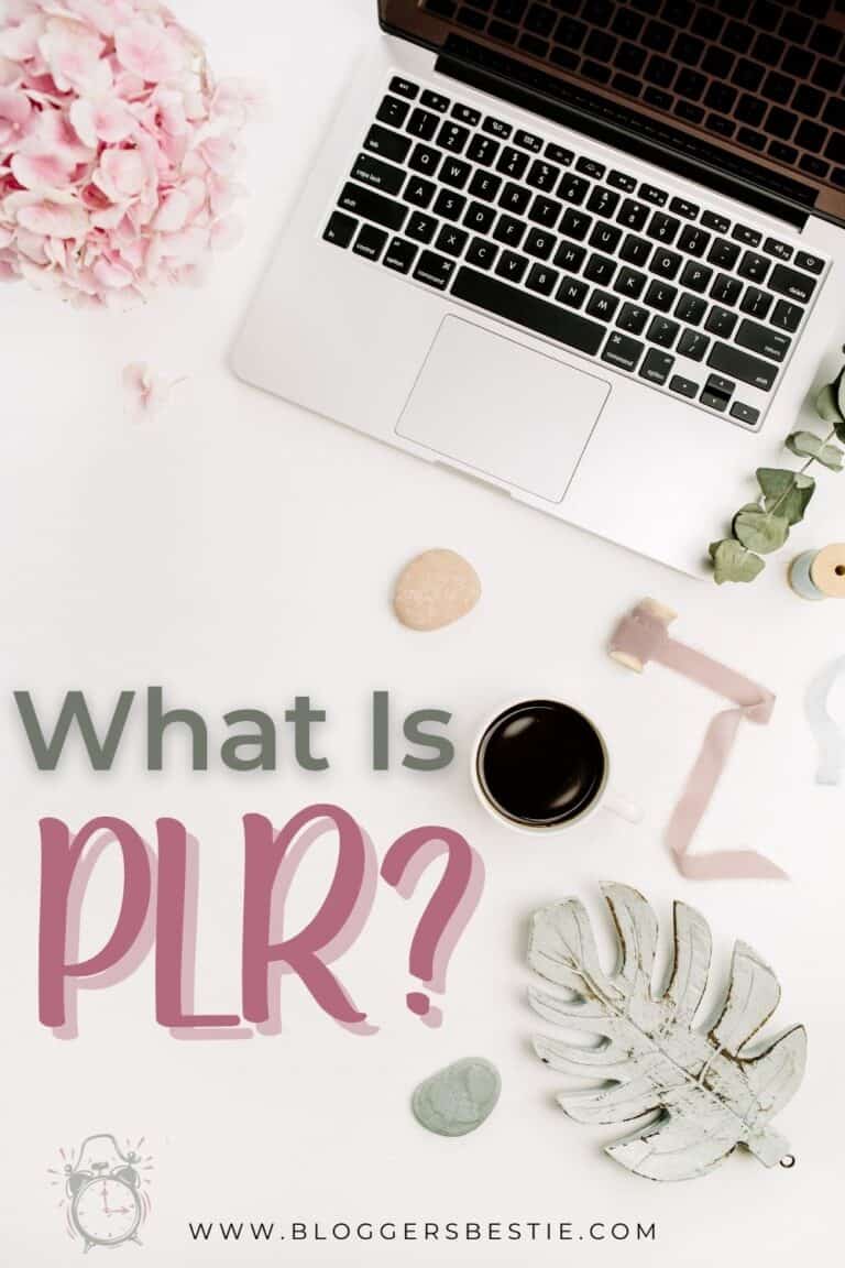 What Is PLR? | Blogger's Bestie